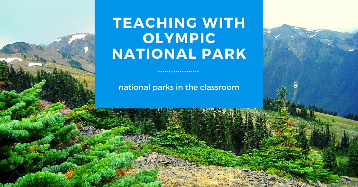 5 Tips for Using Olympic National Park in the Classroom - Adventures of ...